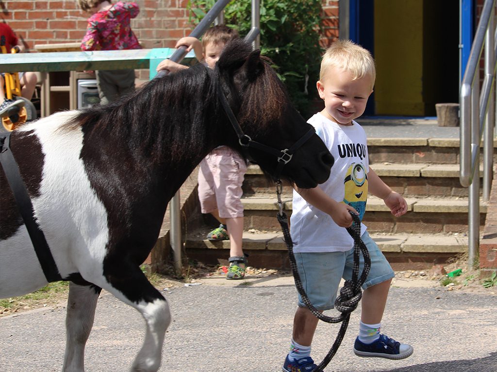 How to book - Challengers