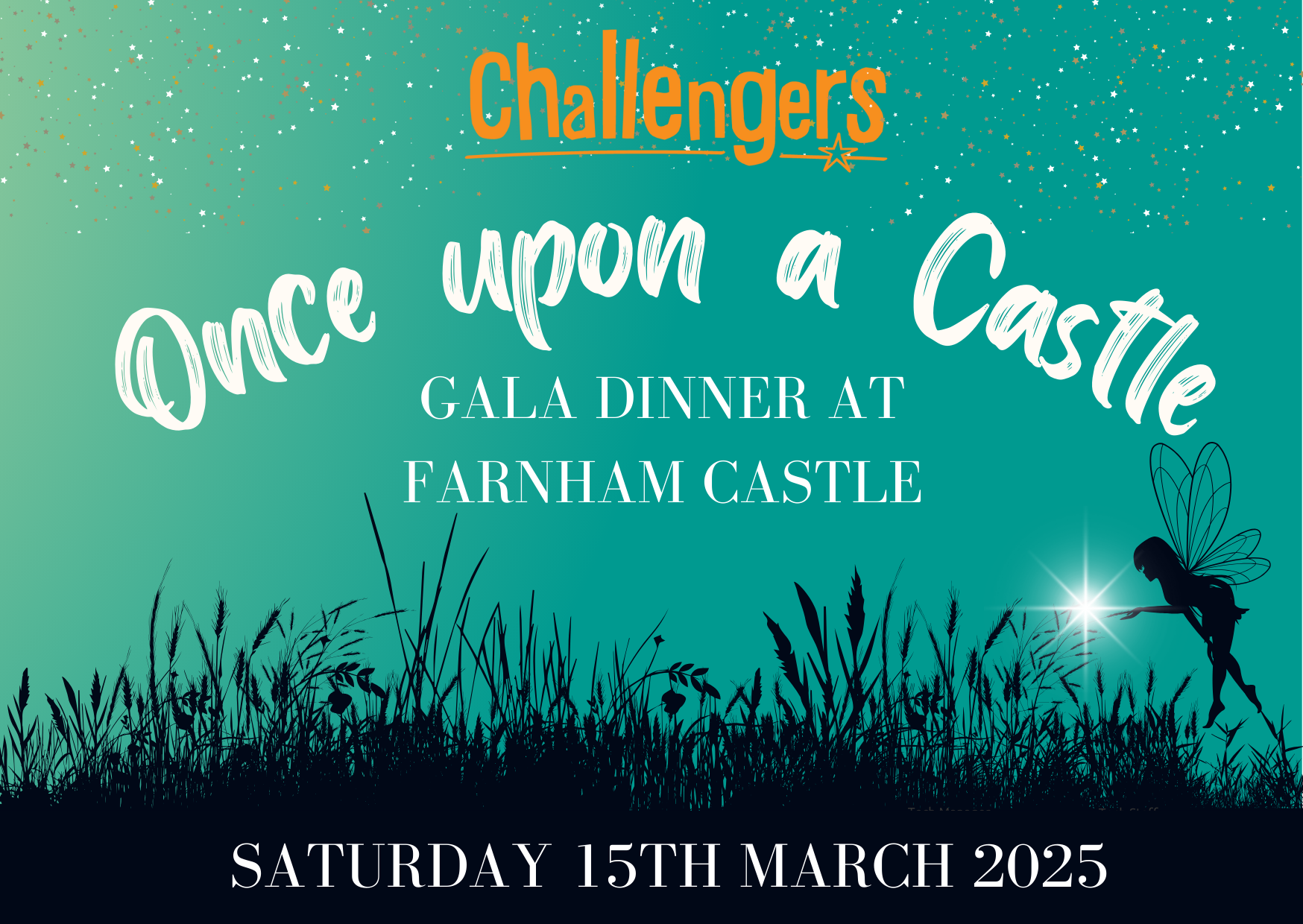 Once Upon a Castle - Gala Dinner 2025 - Challengers